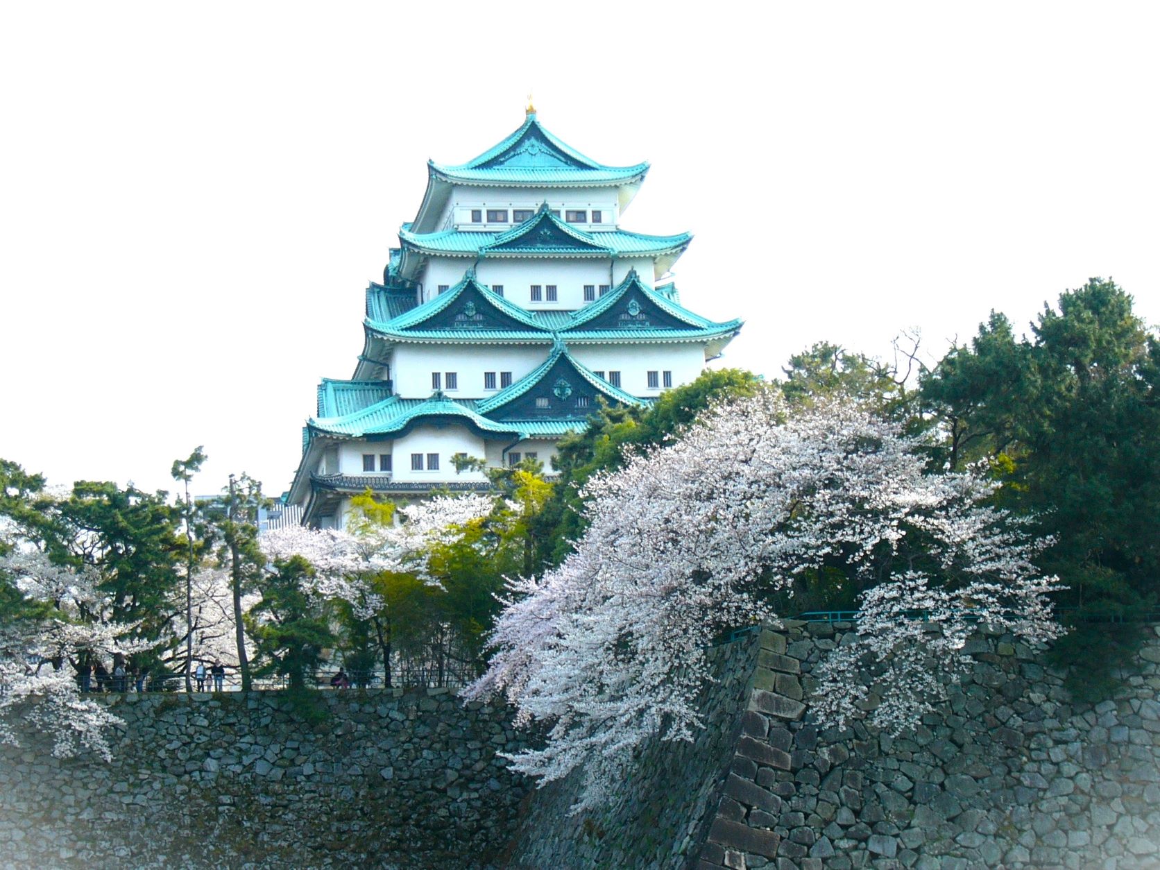 名古屋城の画像を掲載しています。